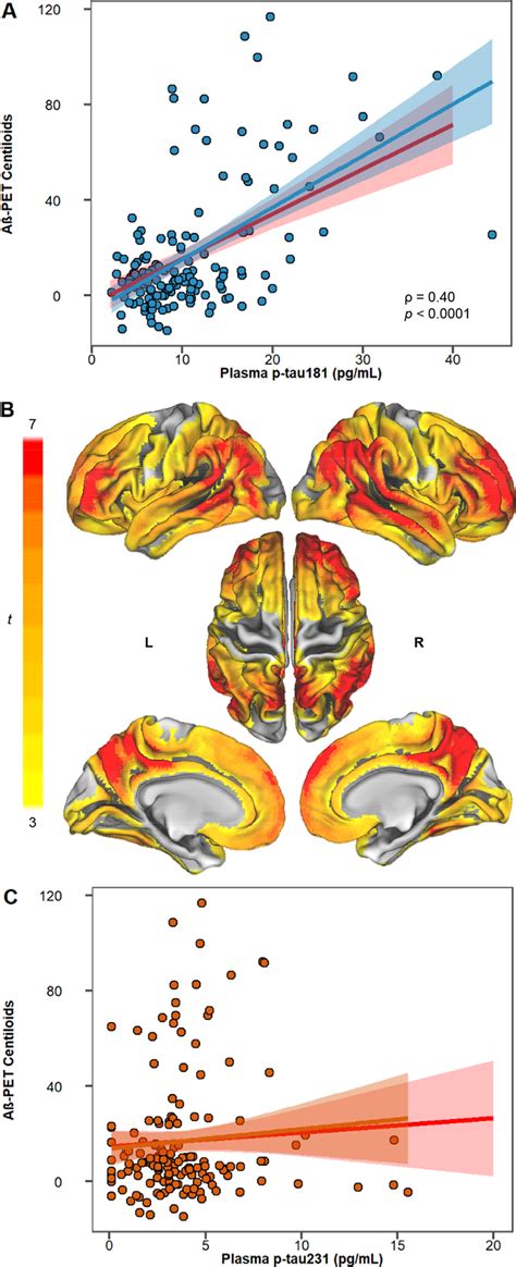 Relationship Between Novel Plasma P‐tau Biomarkers And Cerebral Aβ