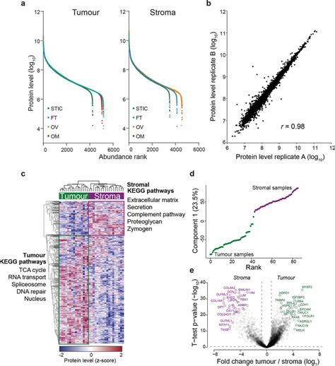 Quantitative Proteomics Of Low Input Samples A Maxlfq Label Free