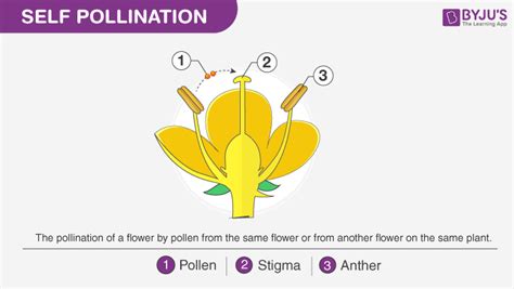 Reproduction In Plants