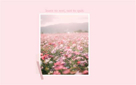 Aesthetic Spring Flowers Wallpapers Wallpaper Cave