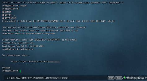 pve lxc安装tailscale出现failed to connect to local tailscaled； it doesn‘t