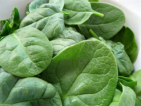 Green Leafy Vegetables A Nutritive Alkalizing Food High In Fiber