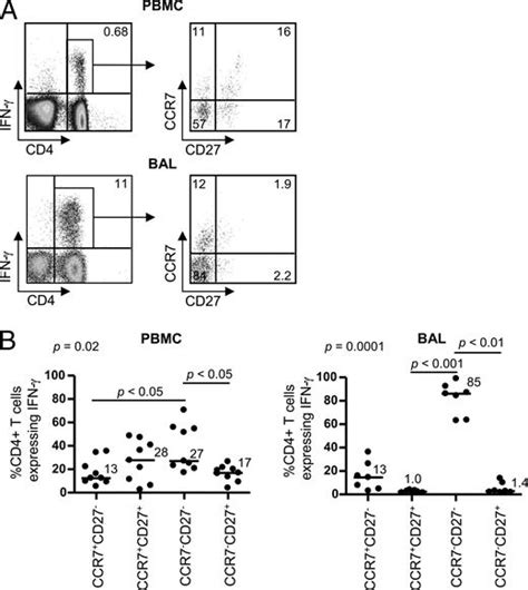 Cd27 Expression On Cd4 T Cells Differentiates Effector From Regulatory