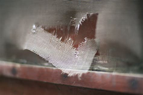 repairing a torn window screen glass express inc