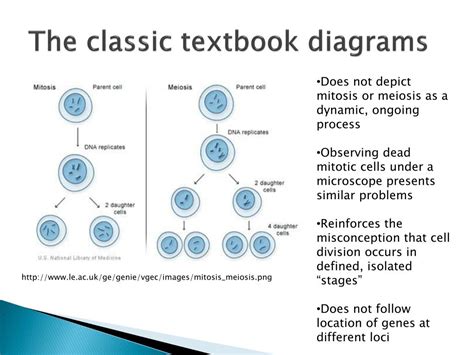 ppt cell growth and division powerpoint presentation free download