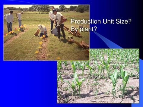 Ppt Spatial Variability In Precision Agriculture Powerpoint