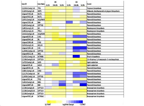 Heat Map Showing The Expression Profiles Of Secondary Metabosim Related