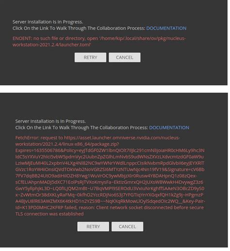 nucleus server stopped running on ubuntu cannot reinstall developer