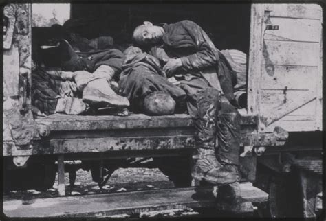 Collections Search United States Holocaust Memorial Museum