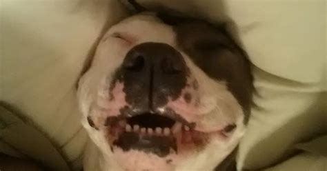 this is my derp face there are many like it but this one is mine imgur