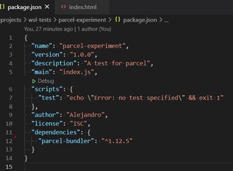 node js running a local dependency in wsl2 stack overflow