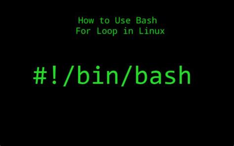 how to use bash for loop in linux
