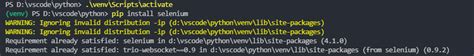 pip error warning ignoring invaild distribution ip 블로그