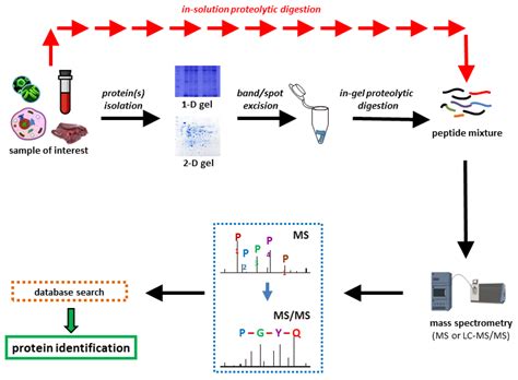 Proteomes Free Full Text A Critical Review Of Bottom Up Proteomics