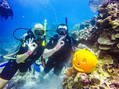 Passion Paradise Adventures Team Halloween Pumpkin Scuba Diving Off The