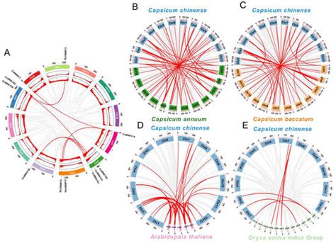 ijms special issue genetics and genomics based crop improvement