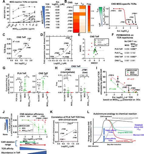 Antigen Specific Depletion Of Cd4 T Cells By Car T Cells Reveals