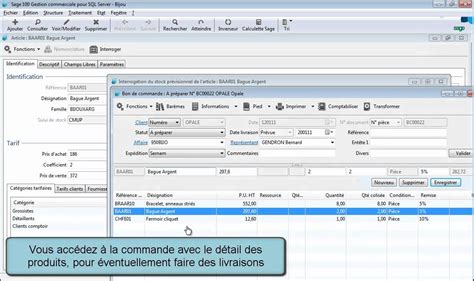 sage ligne 100 v 15 serial potenttags