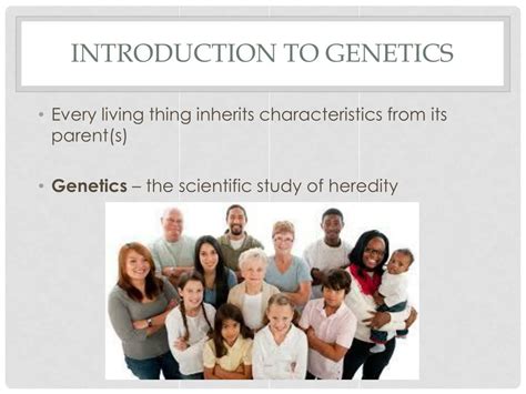 Ppt Genetics Powerpoint Presentation Free Download Id 6503433