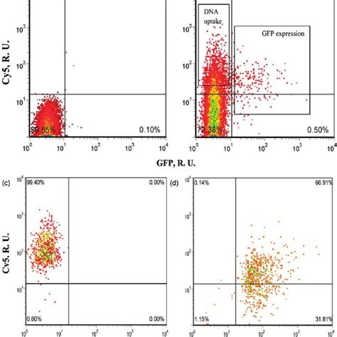 Representative Flow Cytometry Density Plots Showing The Three