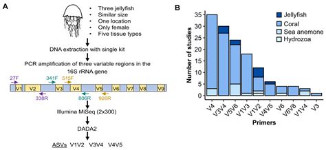 Microorganisms Free Full Text Selecting 16s Rrna Primers For