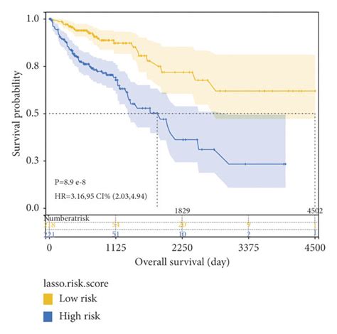 Prognostic Risk Model Construction And Verification A Lasso For Risk