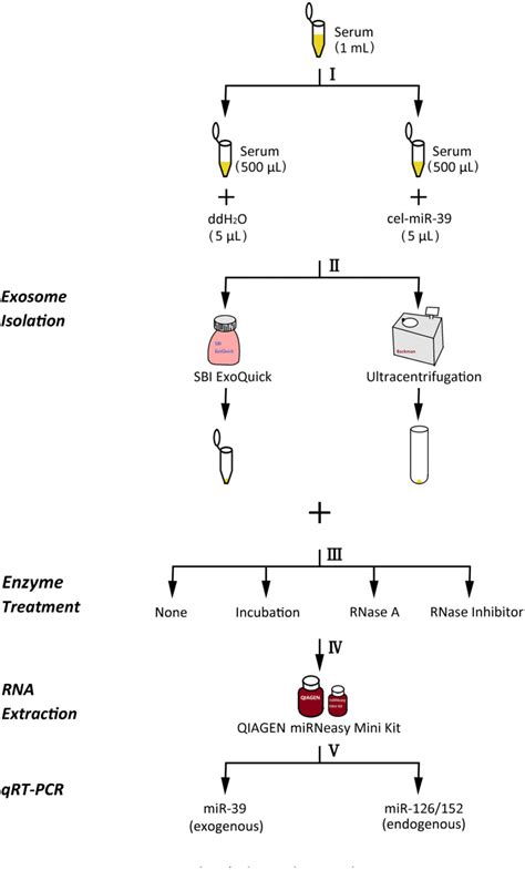 Comparison Of Serum Exosome Isolation Methods On Co Precipitated Free