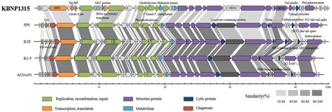 Comparative Genome Analysis Among Kbnp1315 And Select Relatives