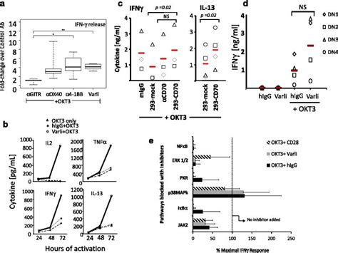 Characterization Of The Human T Cell Response To In Vitro Cd27