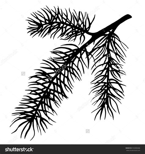 White Pine Branch Clipart 10 Free Cliparts Download Images On