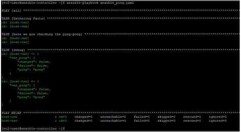 ansible ping how does ansible ping works programming examples