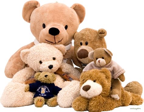 teddy bear telegraph