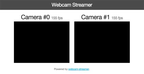 webcam streamer · pypi
