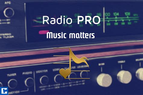 radio pro free download unity asset collection