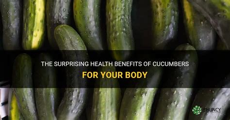 The Surprising Health Benefits Of Cucumbers For Your Body Shuncy