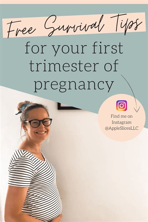 How To Survive The First Trimester Of Your Pregnancy