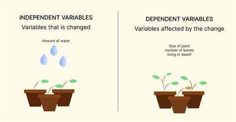 Introduction To Independent And Dependent Variables Voxco