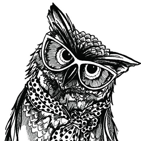 wise owl greeting card by ink inc