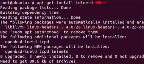 penetration testing on telnet port 23