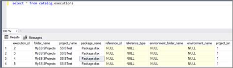 run an ssis package with the execute ssis package activity
