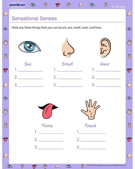 Sensational Senses 5 Worksheet Five First Grade Science
