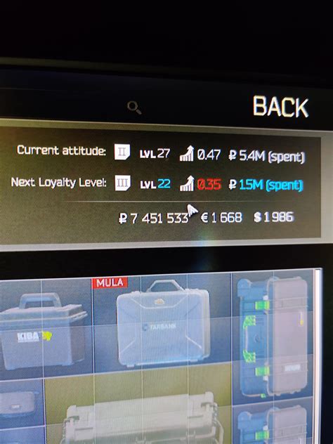 can someone please explain this escapefromtarkov