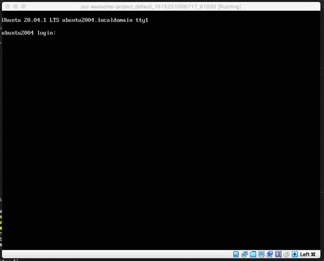 displaying our vagrant vms user interface