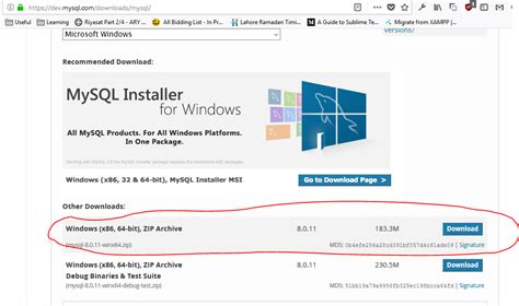 laragon updating to mysql 8 not working laragon