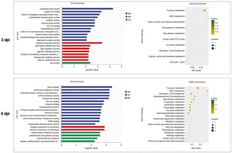 Frontiers Dual Rna Seq Analysis Of The Interaction Between Edible