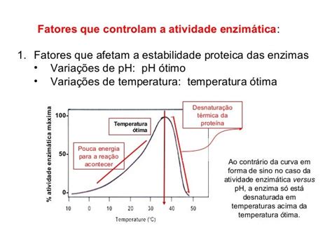 Características E Funções Gerais Enzimática