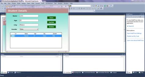 crud operation using entity framework in windows form