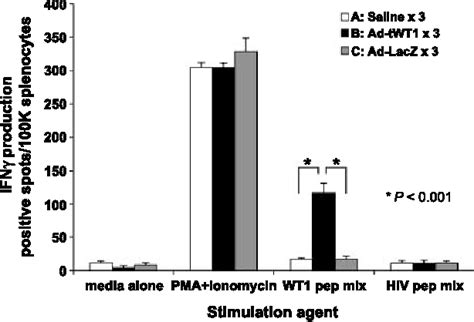 Figure 5 From Induction Of Wilms Tumor Protein Wt1 Specific