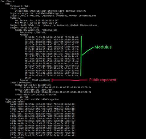 Simplified Explanation Of How Rsa Message Encryption Decryption Works