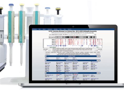 Genome Wide Dna Methylation Analysis Ardimed